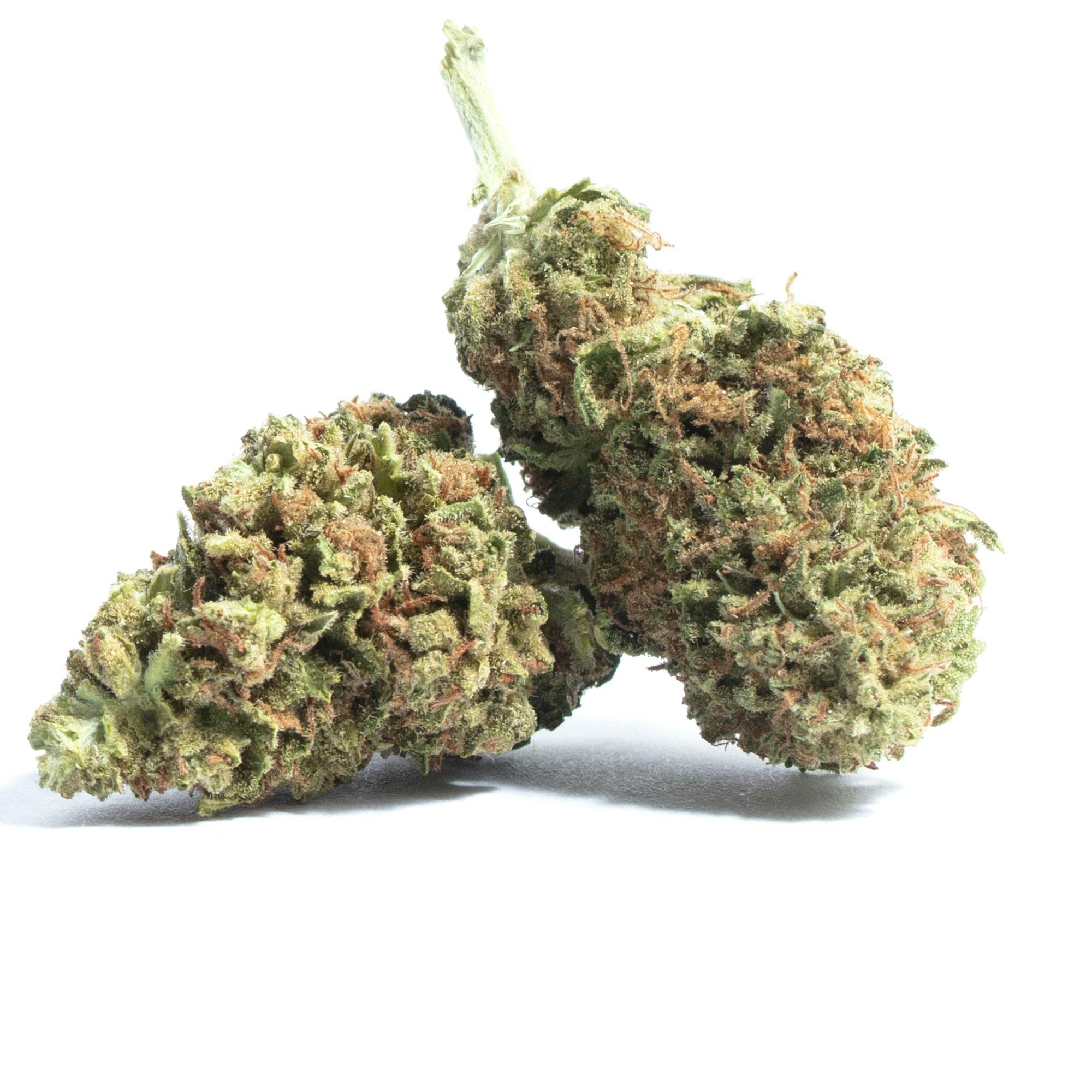 Ice Queen Weed Strain Information | Leafly