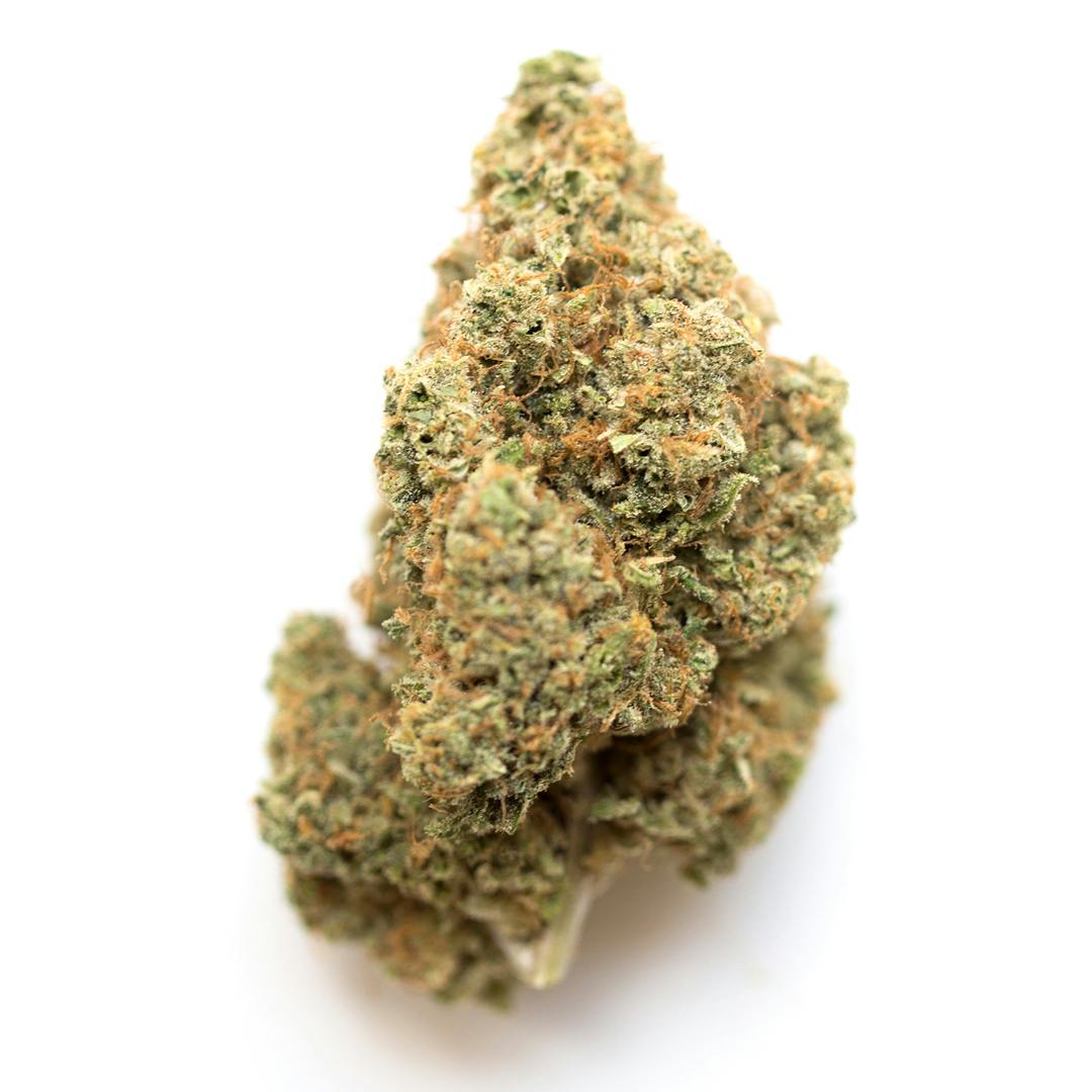 Moose and Lobsta Weed Strain Information | Leafly