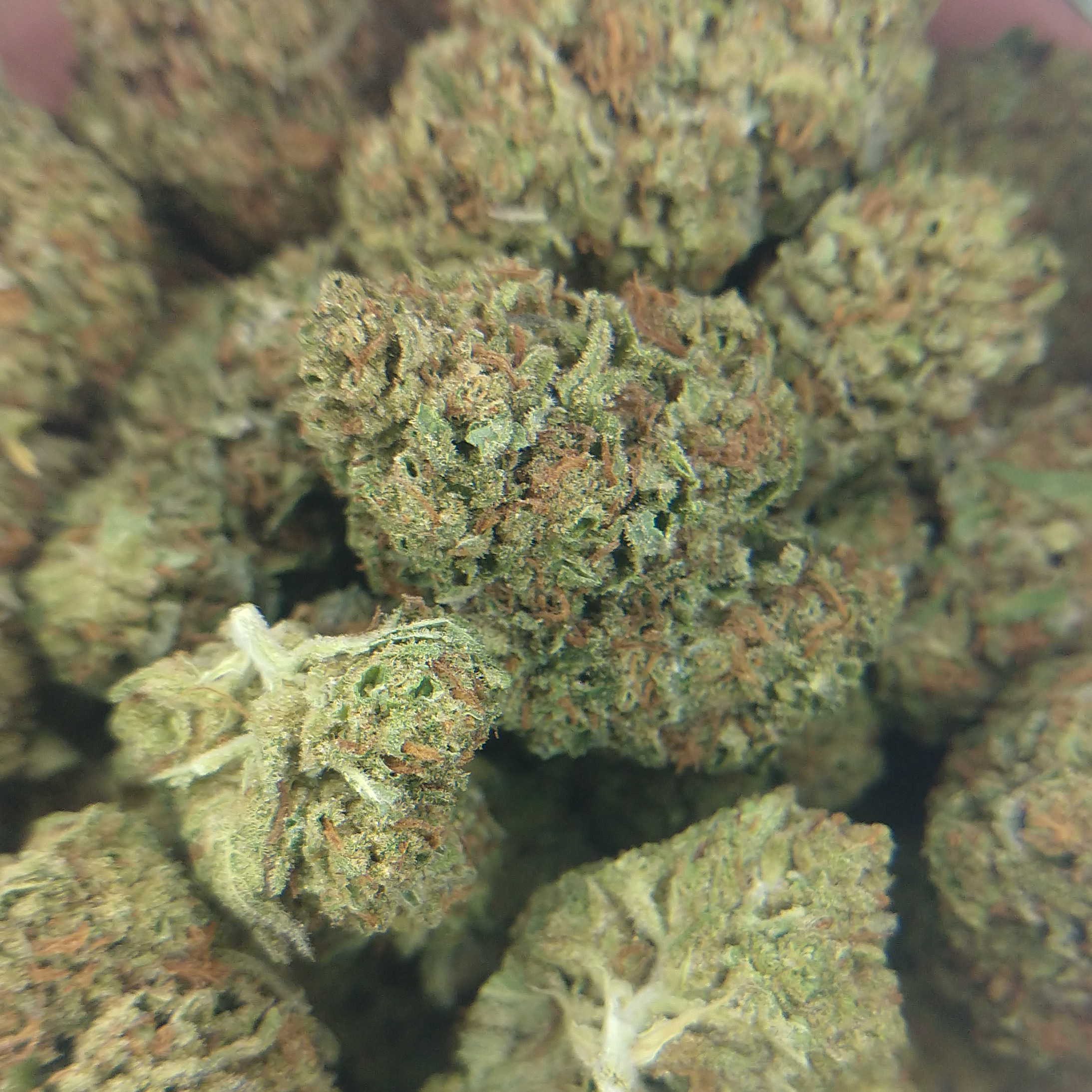 Pacific Green Menu | Leafly