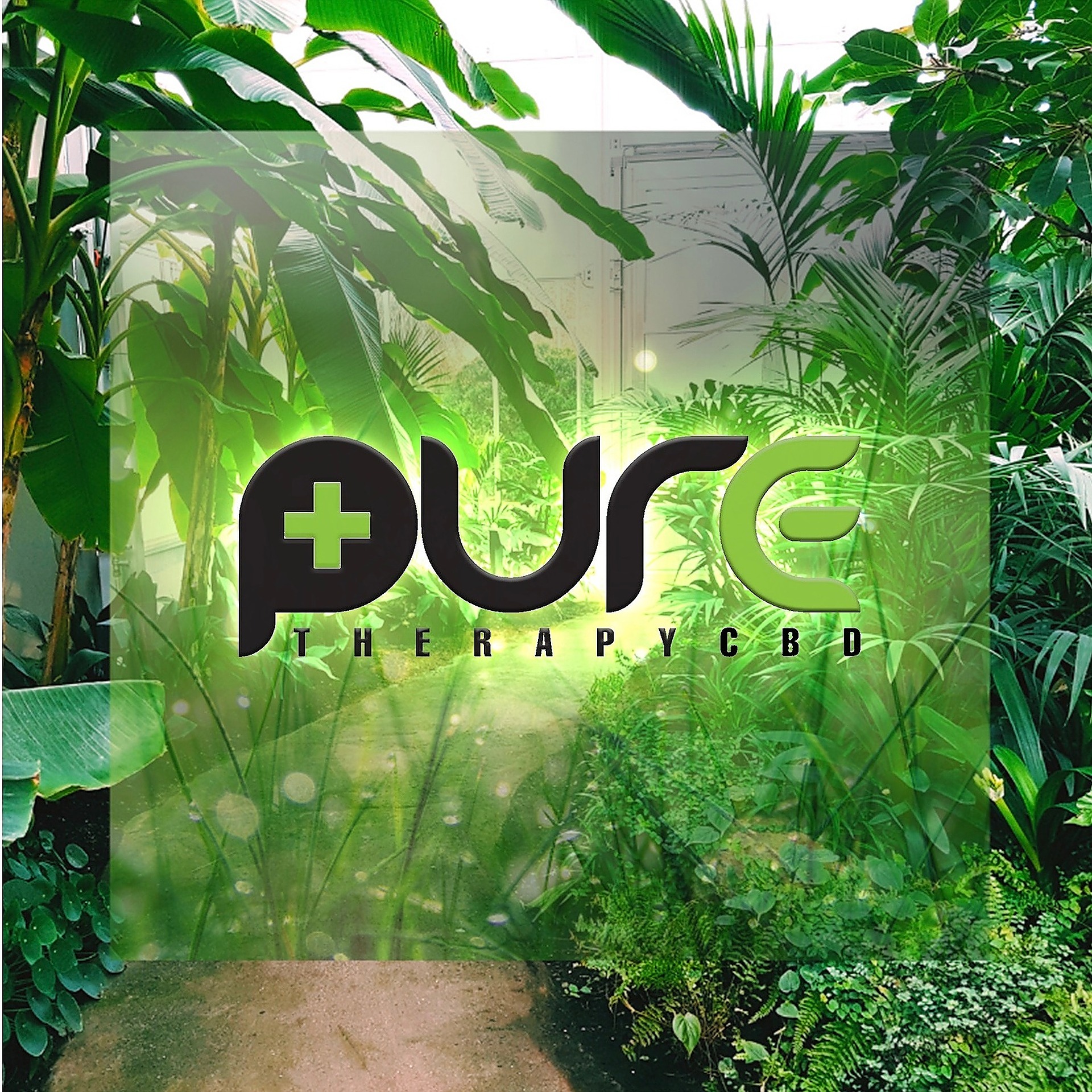 Pure Therapy MD | CBD store in Alpharetta, GA | Leafly