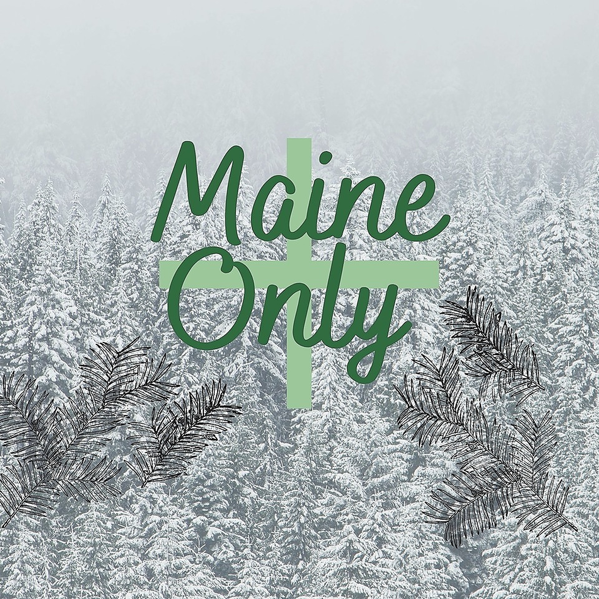 Maine Only Cannabis | Dispensary Menu, Reviews & Photos Maine Only Cannabis | Dispensary Menu, Reviews & Photos