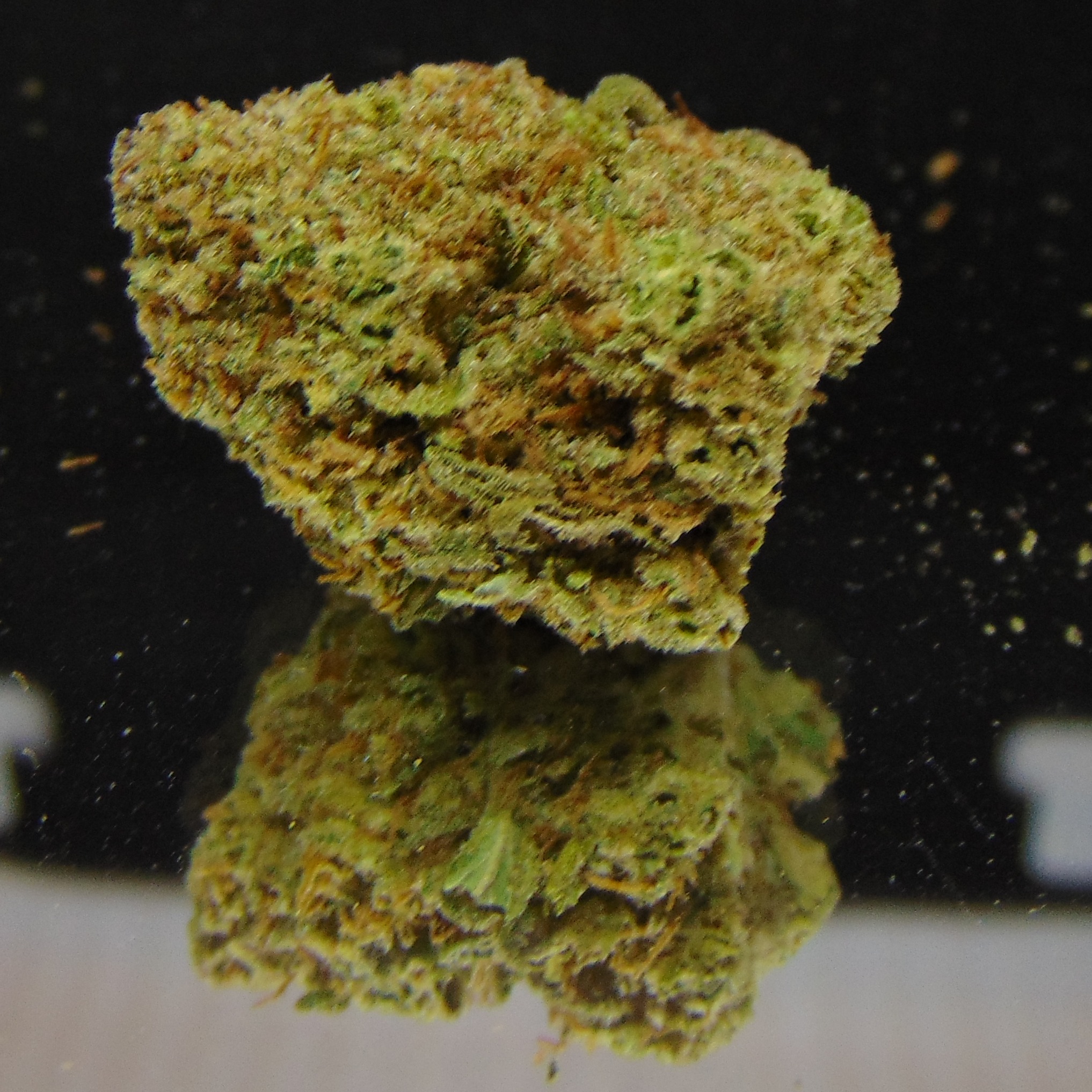 Kind Leaf Pendleton Menu | Leafly