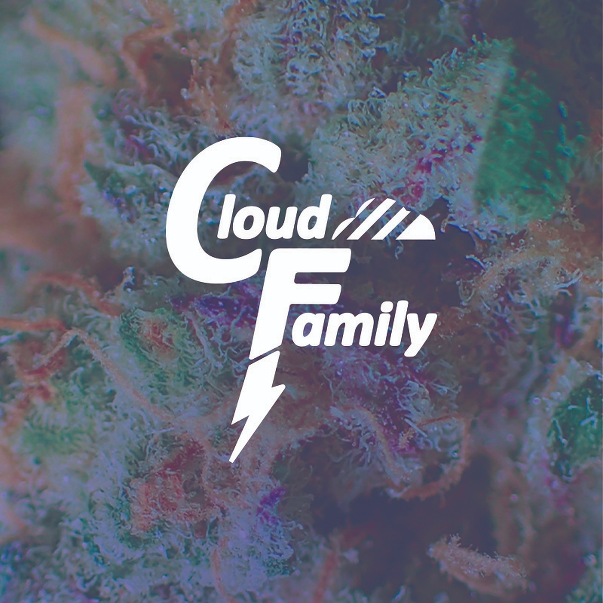 Cloud Family Delivery | Dispensary Menu, Reviews & Photos