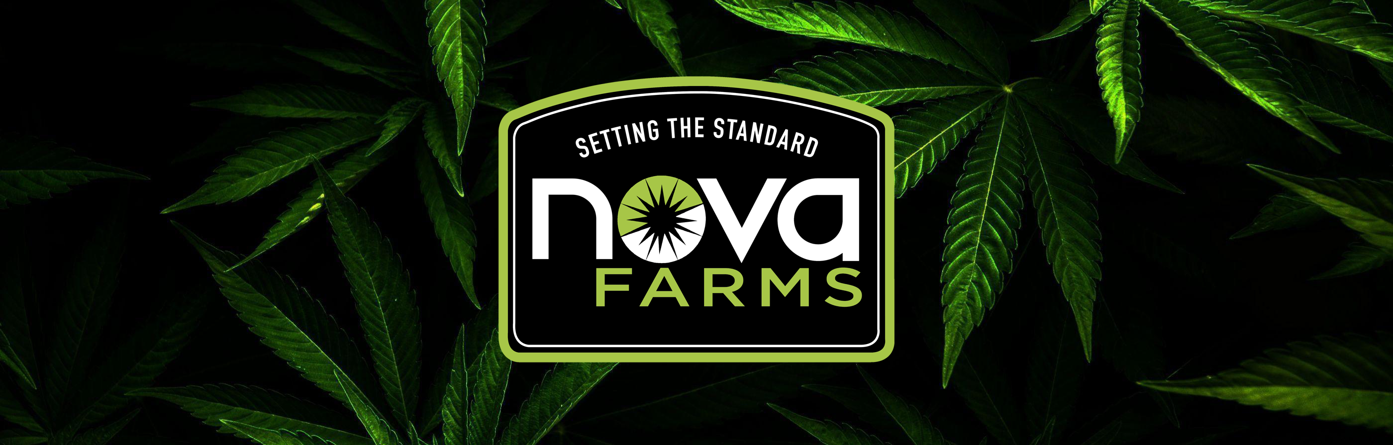 Nova Farms | Dispensary Menu, Reviews & Photos