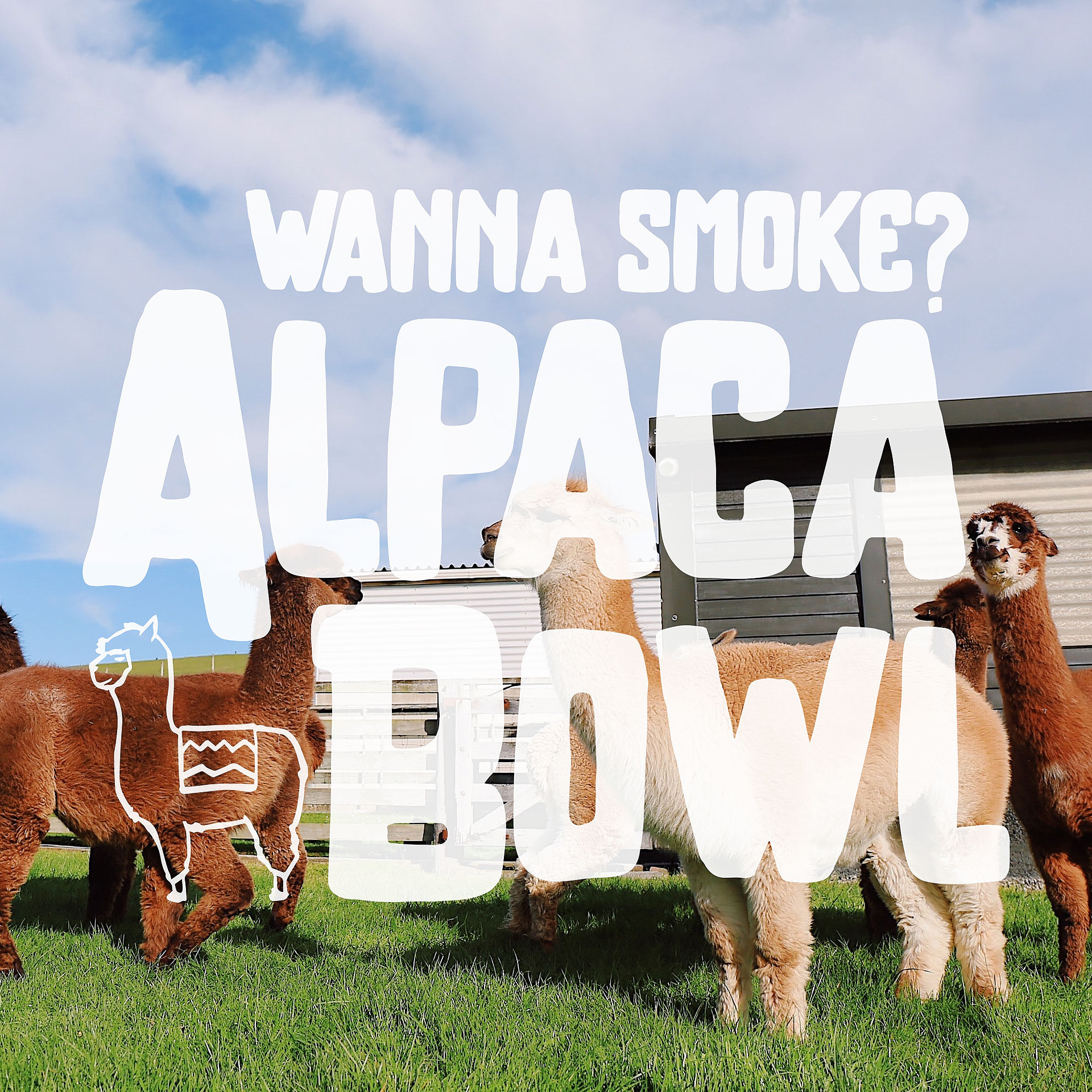 Alpaca Club Delivery - Sacramento Deals | Leafly