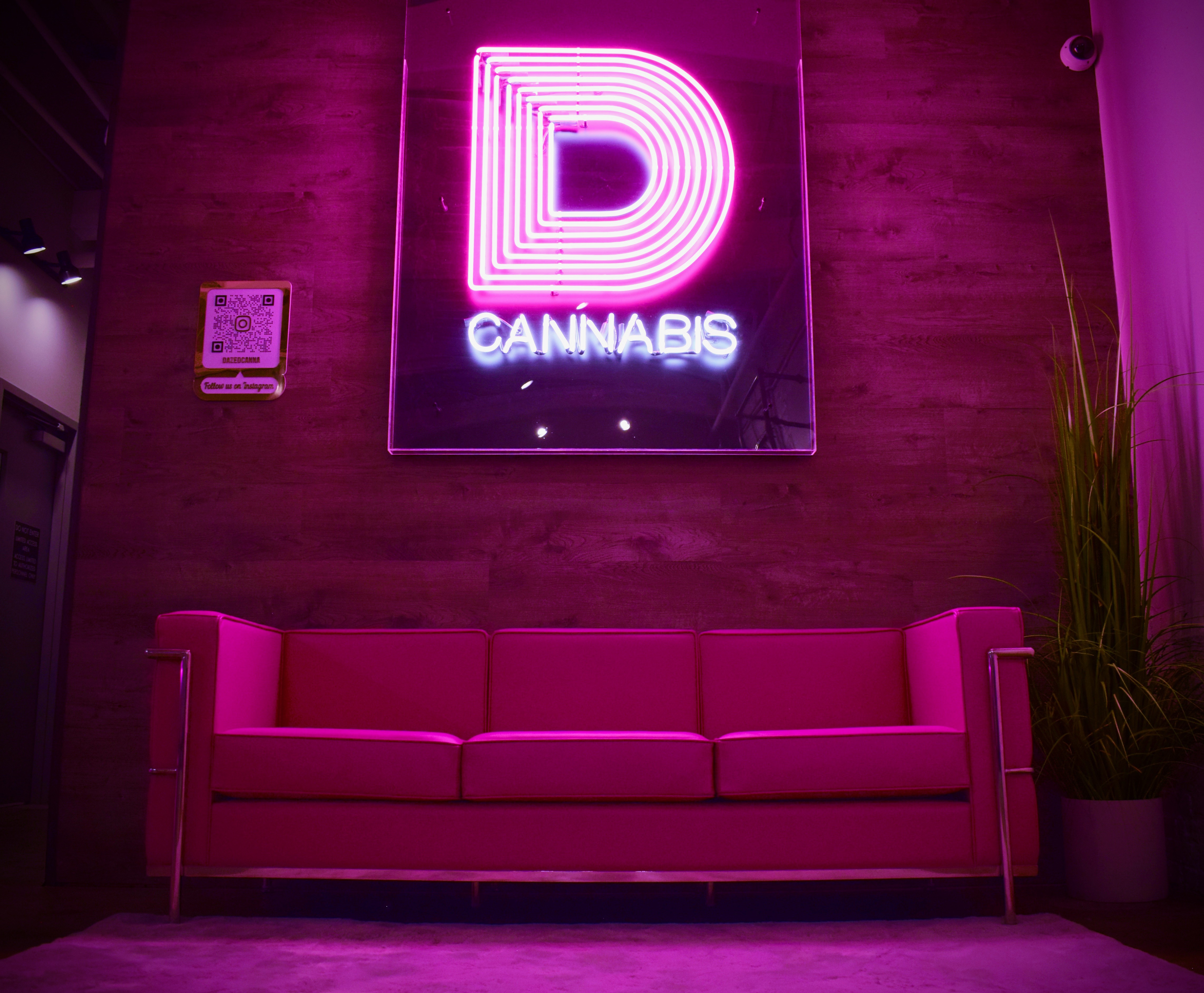Dazed Cannabis | Dispensary Menu, Reviews & Photos